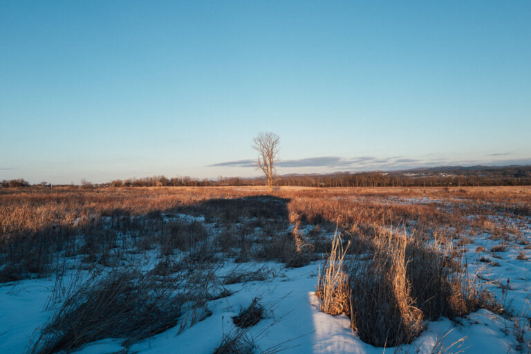 Quality events for this weekend - Keep Albany Boring